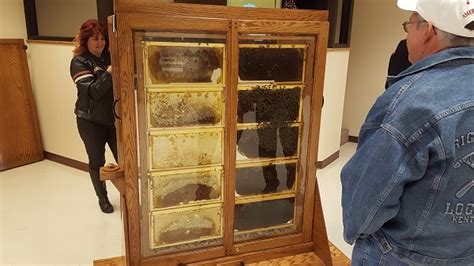 Observation Hive Unlock The Secrets Of Bee Behavior Honey Garage