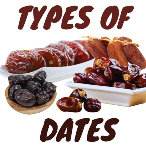 খেজুর বা Dates নিয়ে বিস্তারিত Shebazone