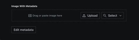 Learn How To Build An Awesome Image Custom Input Component For Metadata