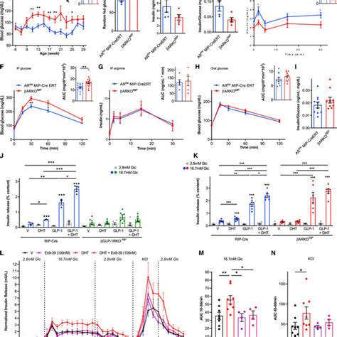 Dht Activation Of Ar In β Cell Amplifies The Insulinotropic Effect Of