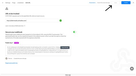 Registering A Webhook Plugs