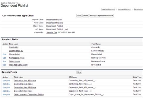 Dependent Picklist In Salesforce Flow Using Custom Metadata Type