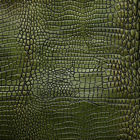 88 000 Gator Texture Pictures
