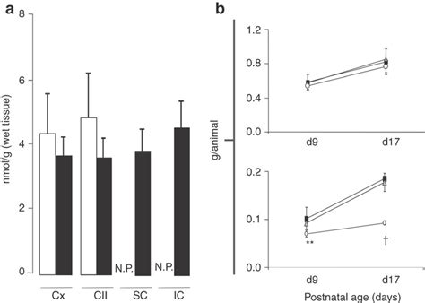 Data On Brain Regions Of Untreated Jaundiced Jj Gunn Rats A Tissue Download Scientific