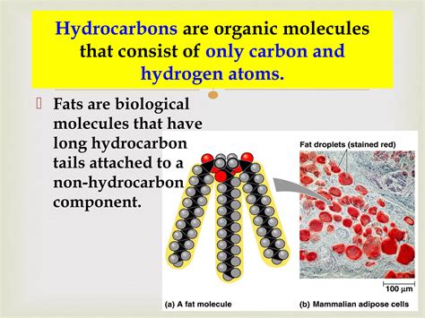 Carbon Compounds Ppt Ppt