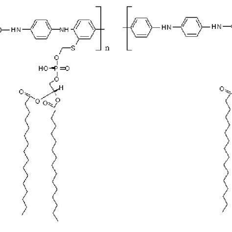 Chemical Structures Of The Six Different Polyaniline Chemical Forms