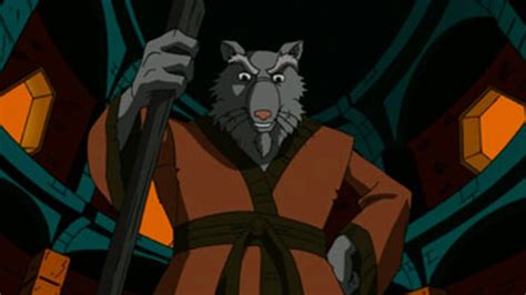 Master Splinter Tmnt 2003
