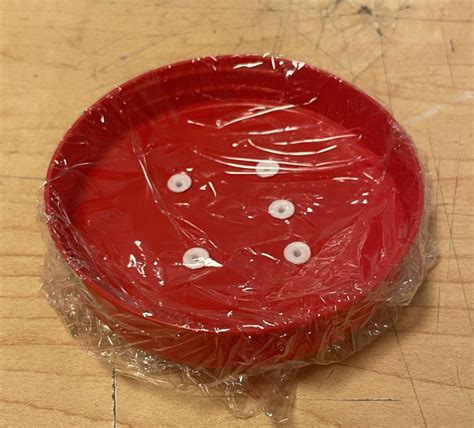 Eggshell Compost Plastic Jenny Gao