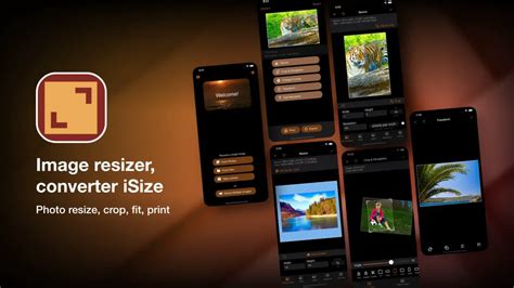 13 Best Photo Resizing Apps For Iphone Applavia