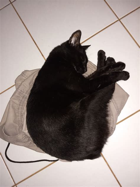 Blog Do Chaddad Mimi E Seus Modos De Tirar Uma Soneca