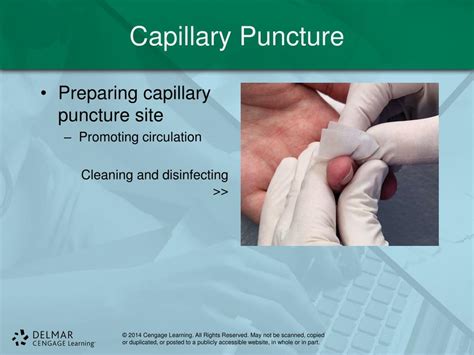 Ppt Chapter 40 Powerpoint Presentation Free Download Id4457978