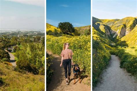 Arroyo Verde Park Loop Trail In Ventura