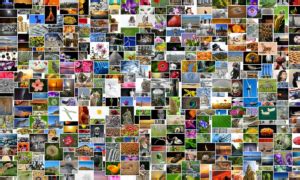 Effortlessly Scale NumPy From Laptops To Supercomputers With NVIDIA