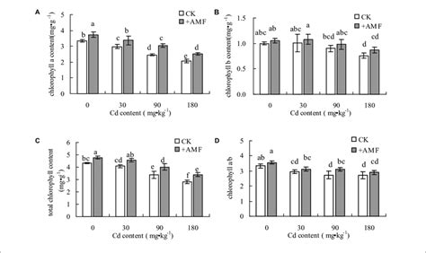 The Effects Of Inoculation With G Mosseae On The Chlorophyll A Download Scientific Diagram