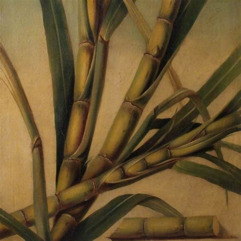 This Is Hell New Forms Of Sweetness Race Science Social Risk And The Biopolitics Of Sugar