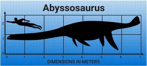 Premium Vector Sea Monsters Comparing The Size Of Abyssosaurus To The
