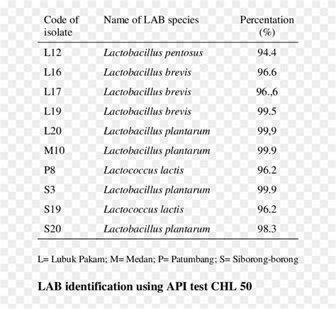 Identification Of Lab Species Using Api Test Chl Api Chl Identification Table HD Png