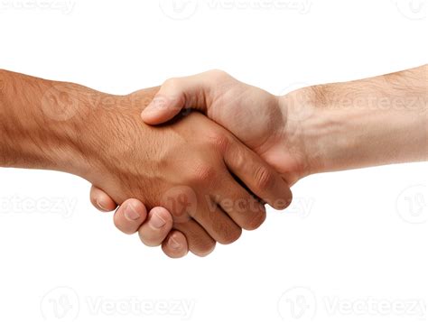 Two Hands Shaking Hands 44613205 Png