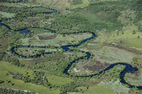 Overlooked Grasslands Must Be Protected Says Wwf Expert Investment