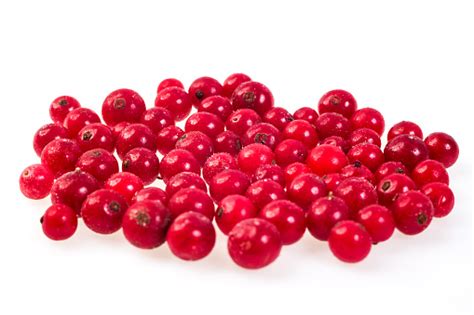 레드 건포도 크랜베리 냉동입니다 매크로 냉동 유기농 레드 건포도 크랜베리 달콤한 아름 다운 언된 레드 건포도 크랜베리에서 추상 배경 흰색 배경에 고립의 소수 0명에 대한