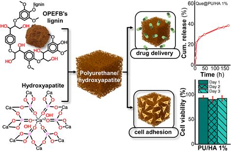 Lignin‐based Polyurethane Composites Enhanced With Hydroxyapatite For Controlled Drug Delivery