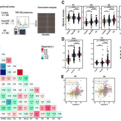 Overview Outline Of Astrocyte Dataset Categories And Analysis Pipeline Download Scientific
