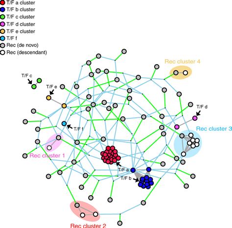 Clustering Graph Of The 3′ Half Genome Sequences From Ch0010 Each