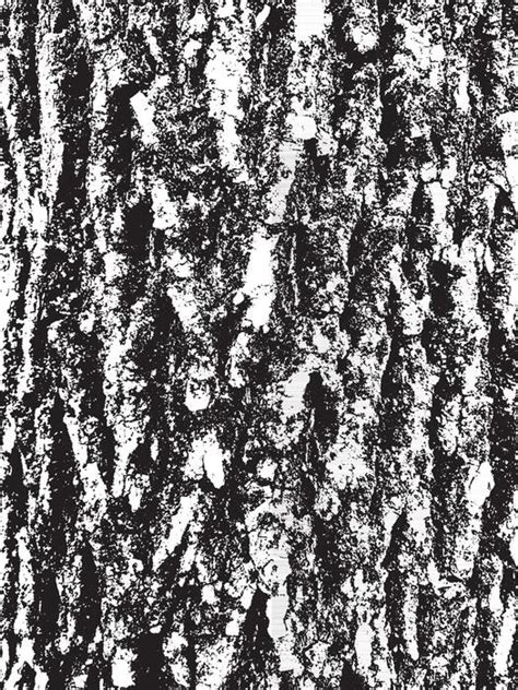Tree Bark Texture Vector Art Icons And Graphics For Free Download
