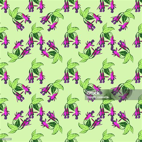 밝은 꽃 그리기 식물 Fuchsia 패턴 꽃 벽지 귀여운 꽃 원활한 배경 패션 인쇄 배너를위한 벡터 일러스트 그래픽 디자인 트렌디한 그린 퍼플 파스텔 색상 0명에 대한 스톡