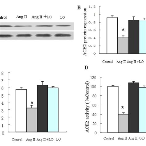 Ace2 Protein Expression And Activity In Smcs Download Scientific Diagram