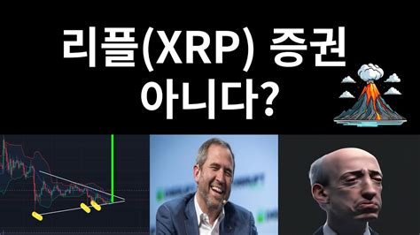 리플xrp 증권 아니다 바이낸스 Sec소송기각 대승리 Youtube