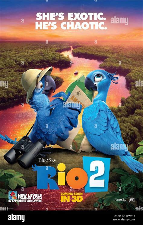 Rio Jewel And Blu Rio Blu And Jewel Png Download Rio Blu And