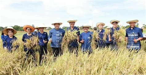 กรมการข้าว ชวนชาวนามาร่วมเป็น ชาวนาอาสา จับมือยกระดับศักยภาพชาวนา เรื่องเล่าข่าวเกษตร