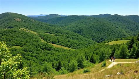 Mount Davis Pennsylvania Best Things To Do Top Picks Travelcom®