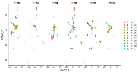 How To Plot Multiple Observations Under One Column Using Dimplot