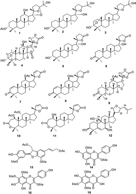 Structures Of Dammarane Triterpenes 1 12 Lignan 13 And Flavonols