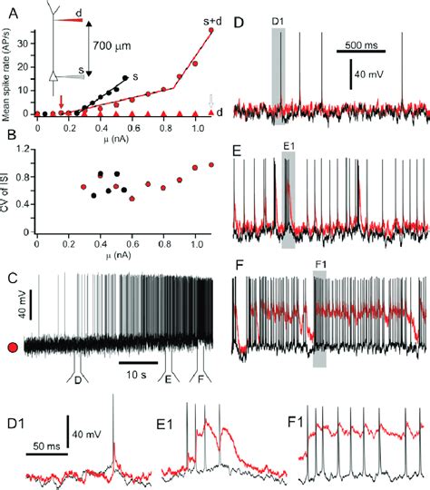 Small Somatic Background Noisy Current Decreases Firing Threshold For Download Scientific