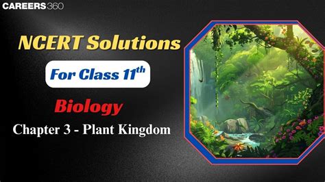 Ncert Solutions For Class 11 Biology Chapter 3 Plant Kingdom