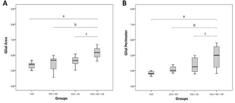 Glial Cells Morphometry Analysis Download Scientific Diagram