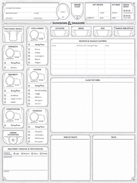 Dnd 2024 Character Sheet Pdf