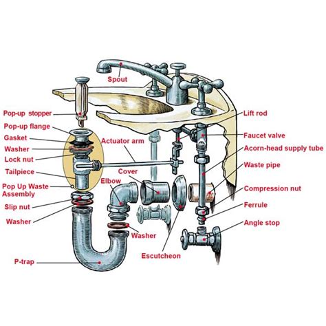 Anatomy Of A Sink Drain Bathroom Plumbing Diagram With Shower