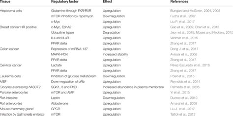 Regulation Of Asct2 Download Table