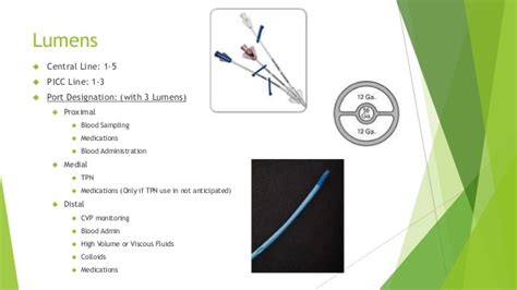 Central Line Diagram Quizlet