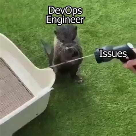 dev devops devopstools issue deploy database backup devopsengineer… alexander