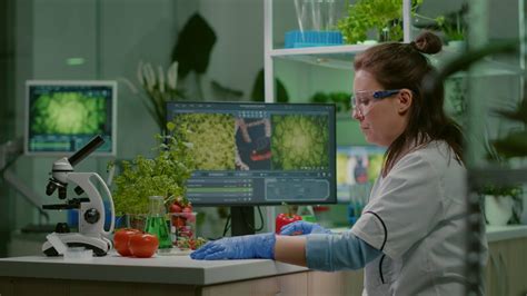 Botanist Researcher Typing Medical Expertise On Computer While