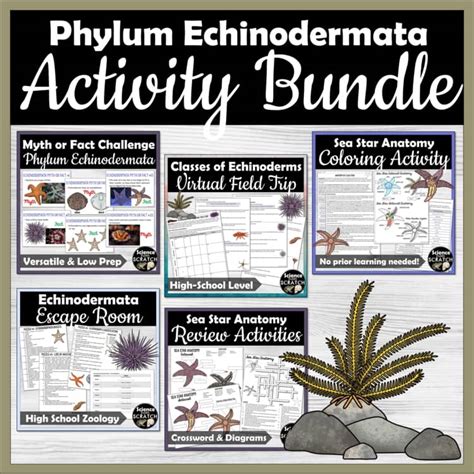Echinoderm Activity Bundle Virtual Field Trip Diagrams Escape Room