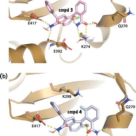 Snapshot From Md Trajectory Of Hydrogen Bonding Interaction Network Of Download Scientific