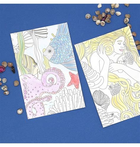 핑크풋 3000 컬러드로잉 엽서북 성인 어른 색칠공부 색칠북 컬러링북 드로잉북 티몬