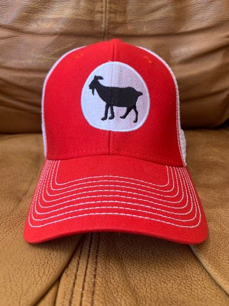 Tom Brady Tb12 Goat Red New One Size Fits All Hat Sidelineswap