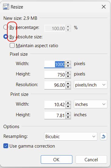 Remember The Last Resize Option And Percentage Paint NET Discussion And Questions Paint NET